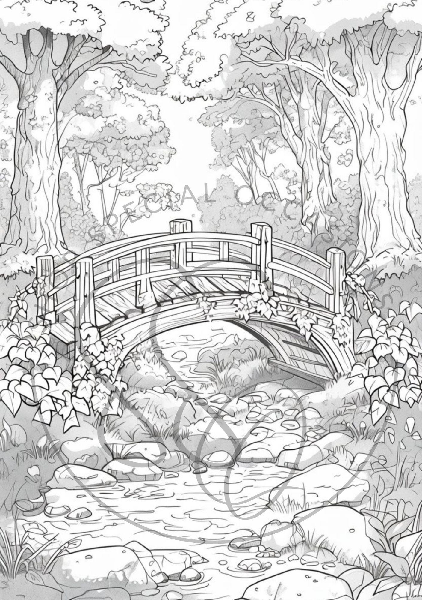 19 Page Adult Coloring Book - Etsy