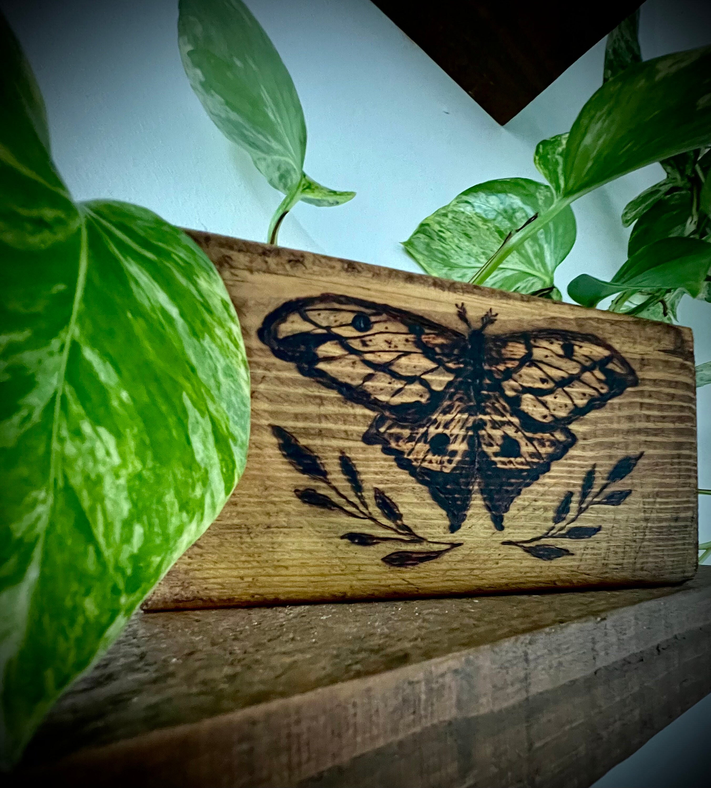 Moth Pyrography on Reclaimed Wood Block. - Etsy