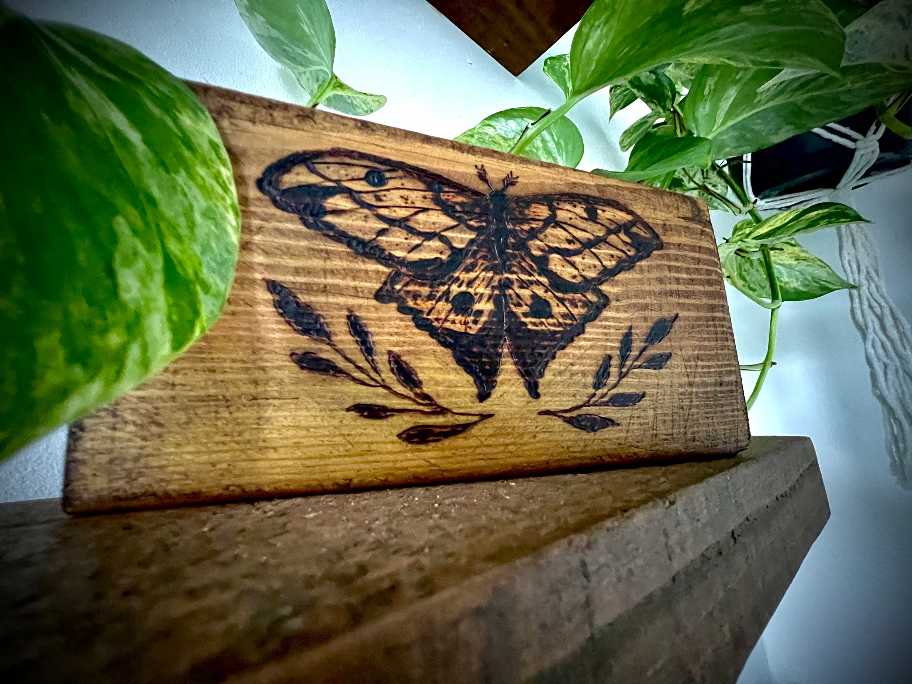Moth Pyrography on Reclaimed Wood Block. - Etsy