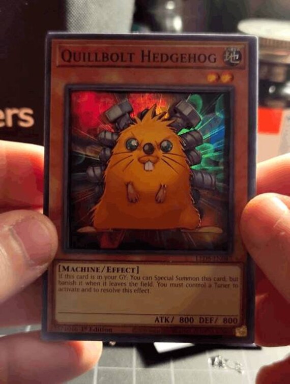 Quillbolt Hedgehog