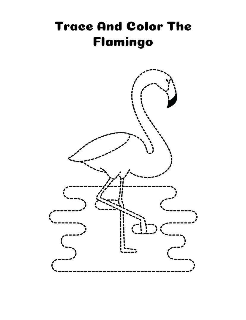 Flamingo Activity Worksheets for Kids - Etsy