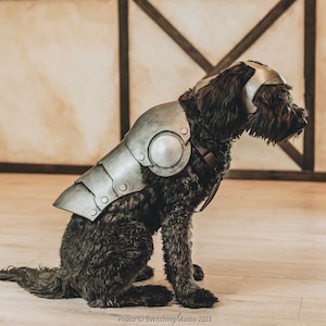Crafting Pattern, Dog Armor, Downloadable PDF File, FR+EN - Etsy
