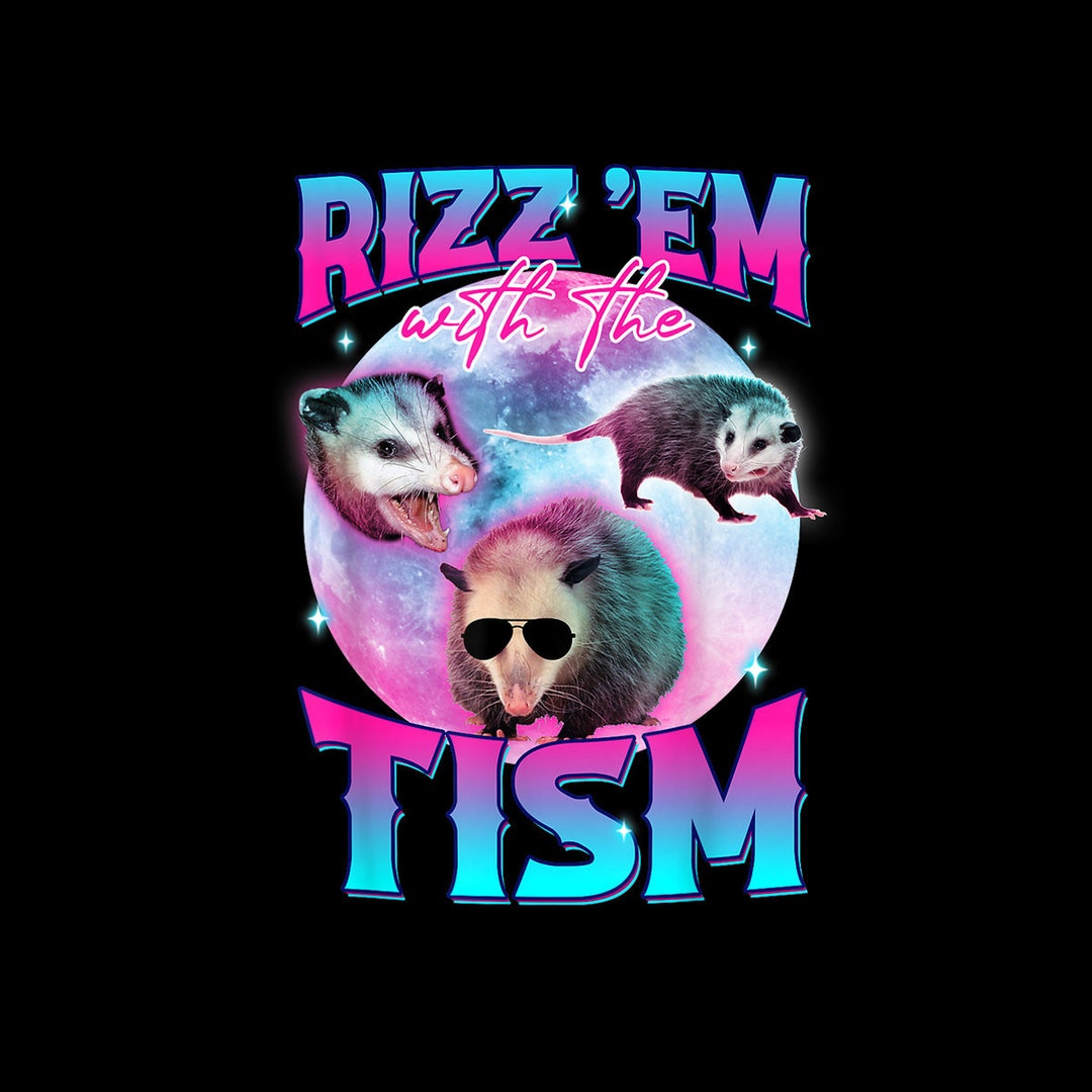 Autism Funny Rizz Em With the Tism Meme Autistic Opossum Digital Png - Etsy
