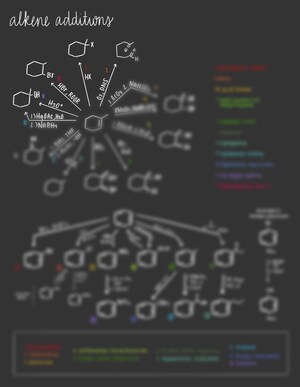 MCAT Comprehensive Biochemistry Metabolic Pathway Study Guide - Etsy Canada