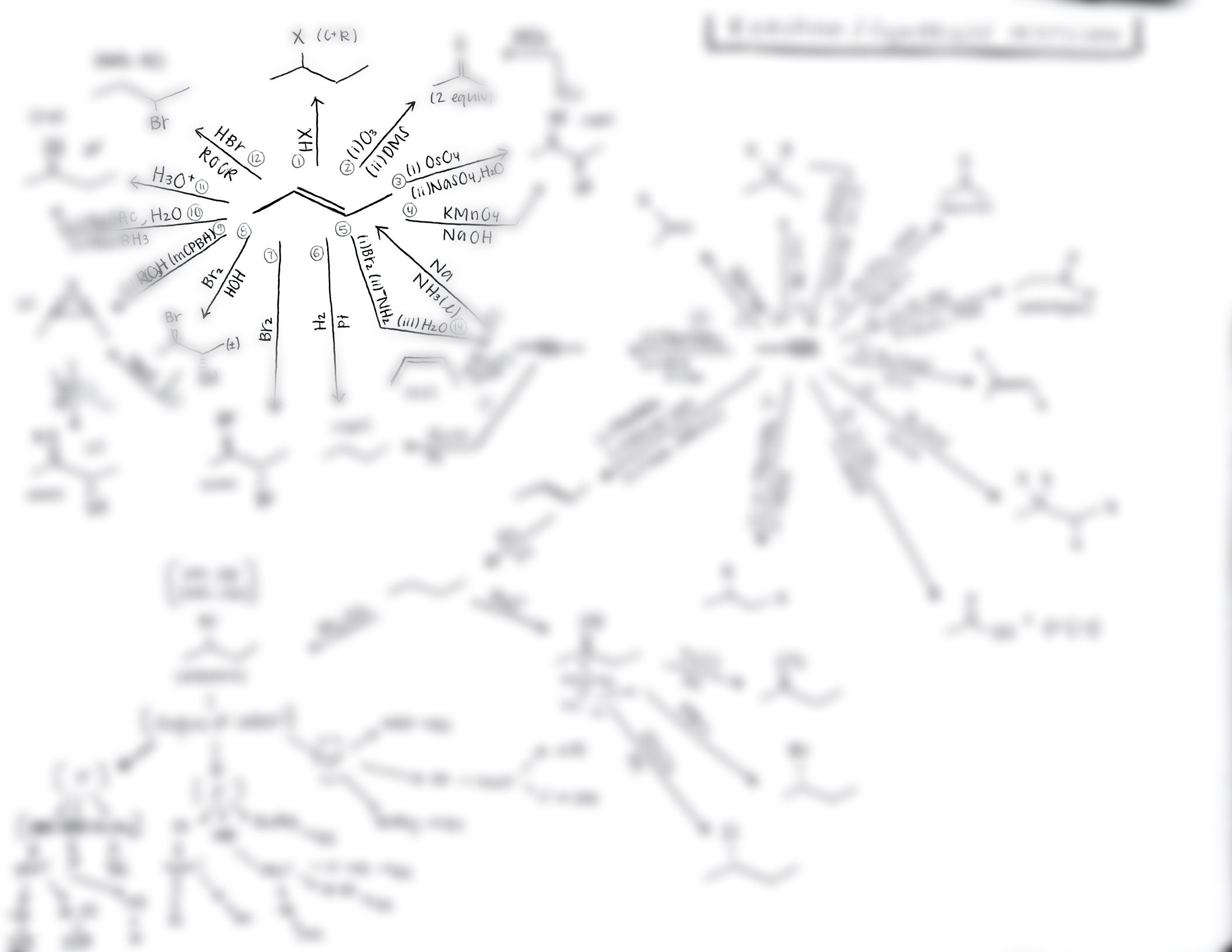 Intro to Ochem 1 Bundle!! - Etsy