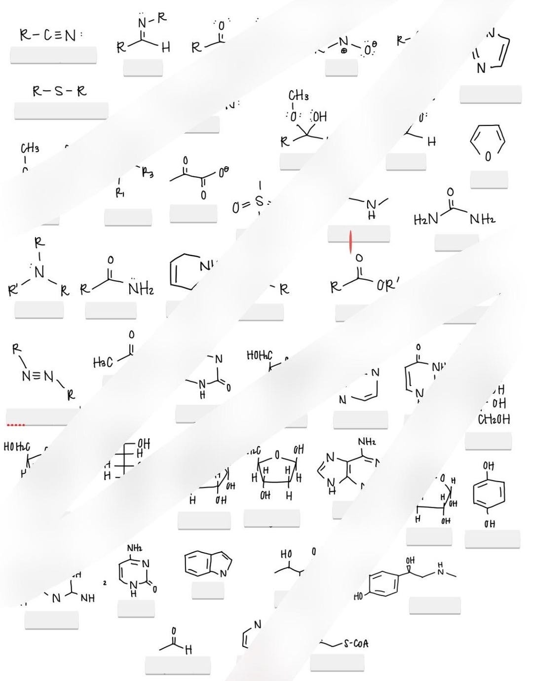 Chemistry Functional Group Study Sheet - Etsy