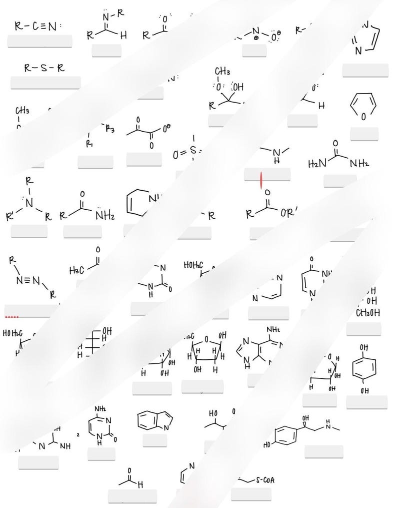 Chemistry Functional Group Study Sheet - Etsy
