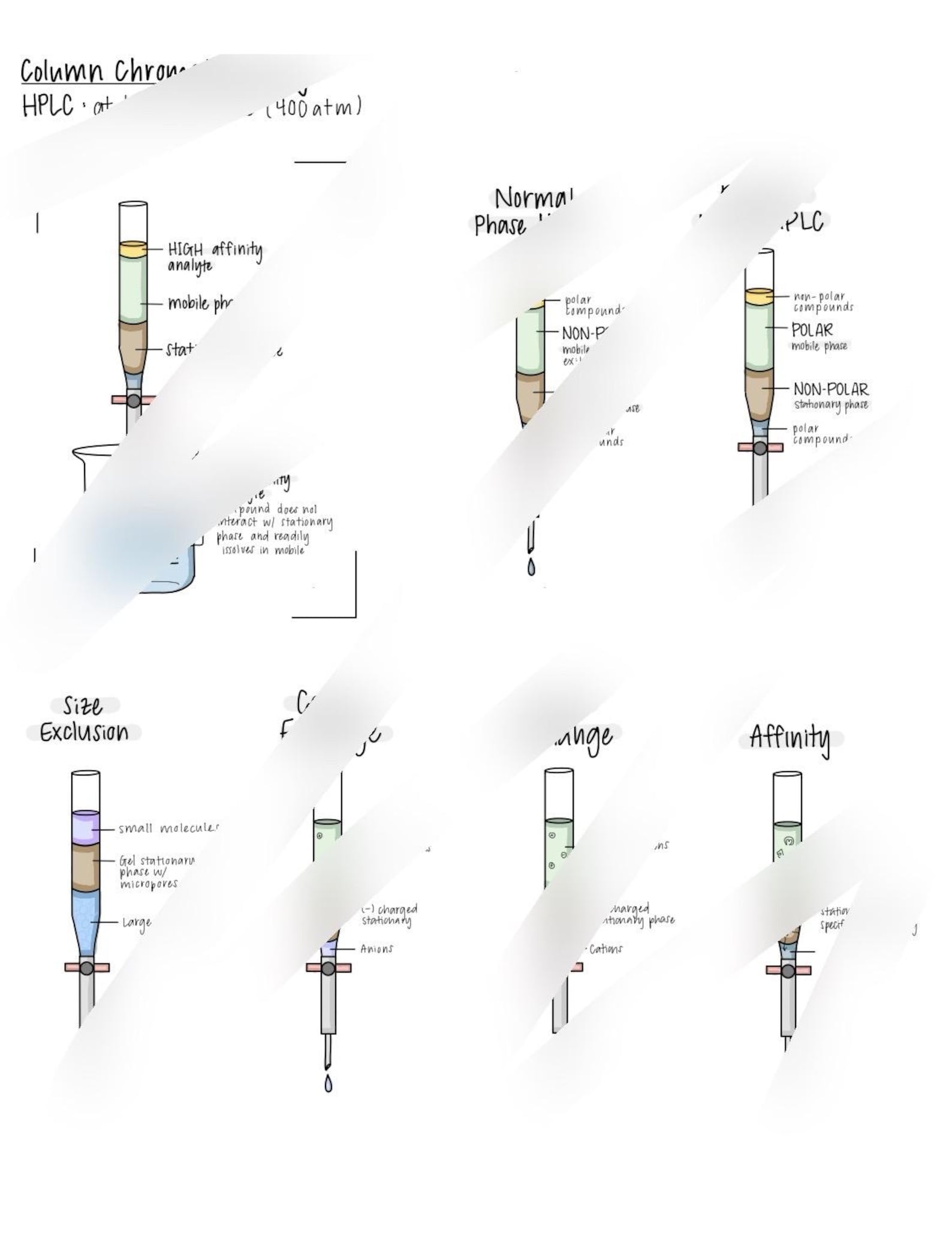 Chromatography Cheat Sheet - Etsy