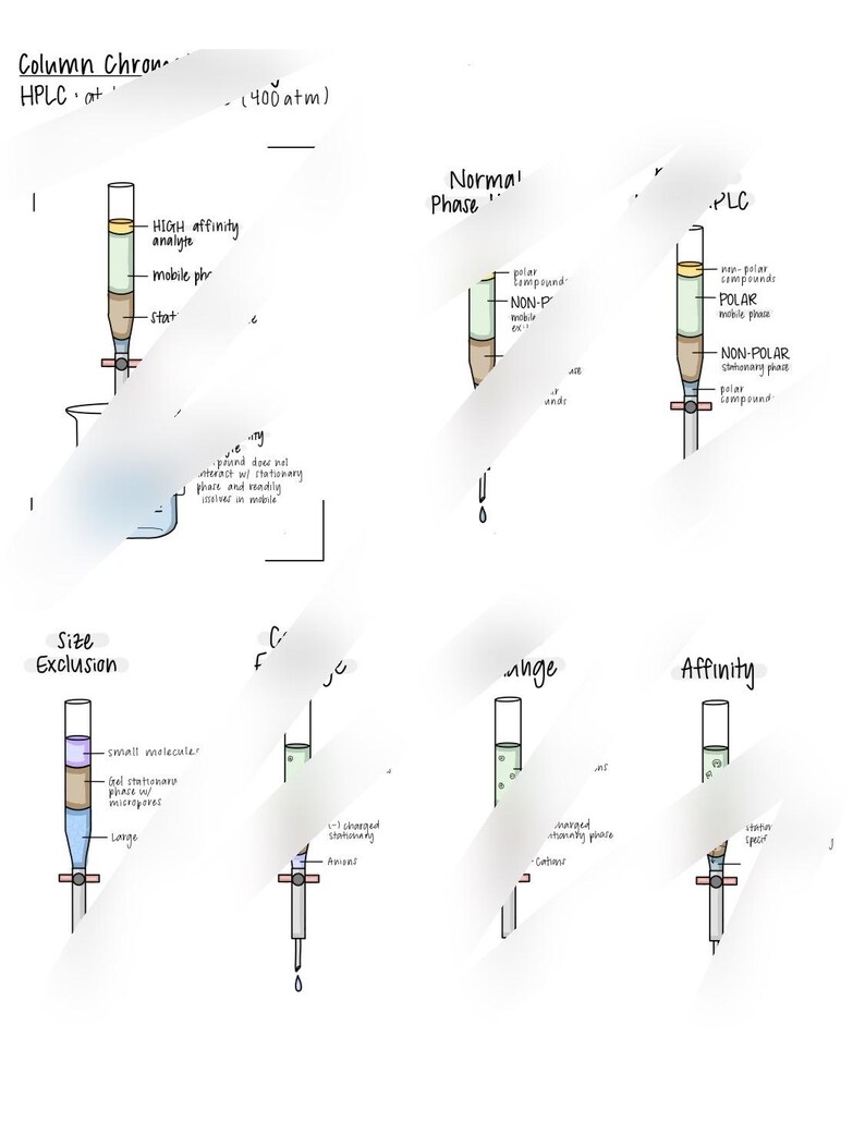 Chromatography Cheat Sheet - Etsy