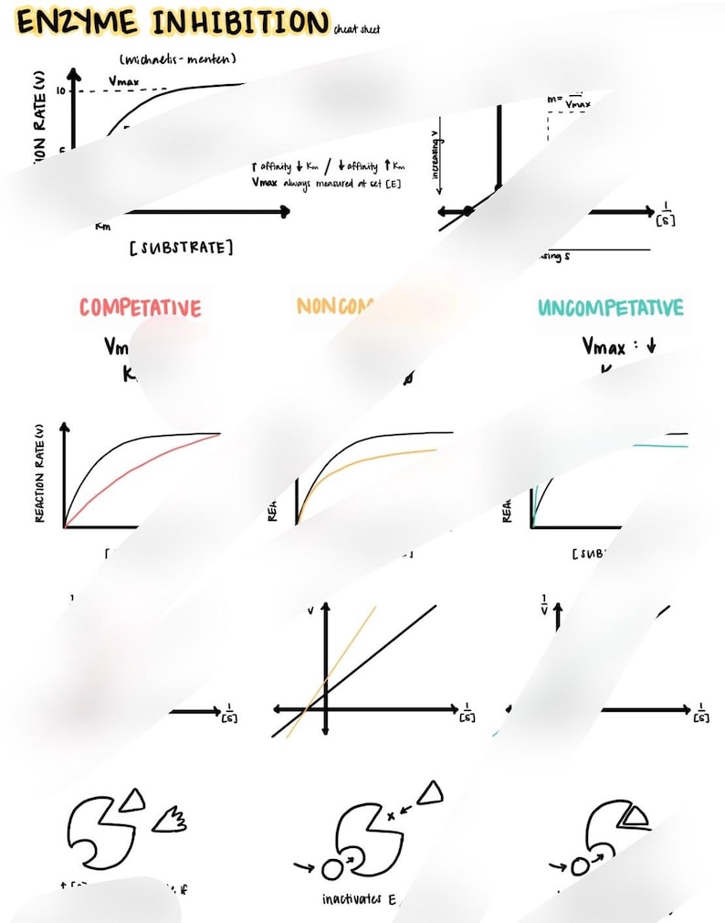 Enzyme Inhibition Review - Etsy