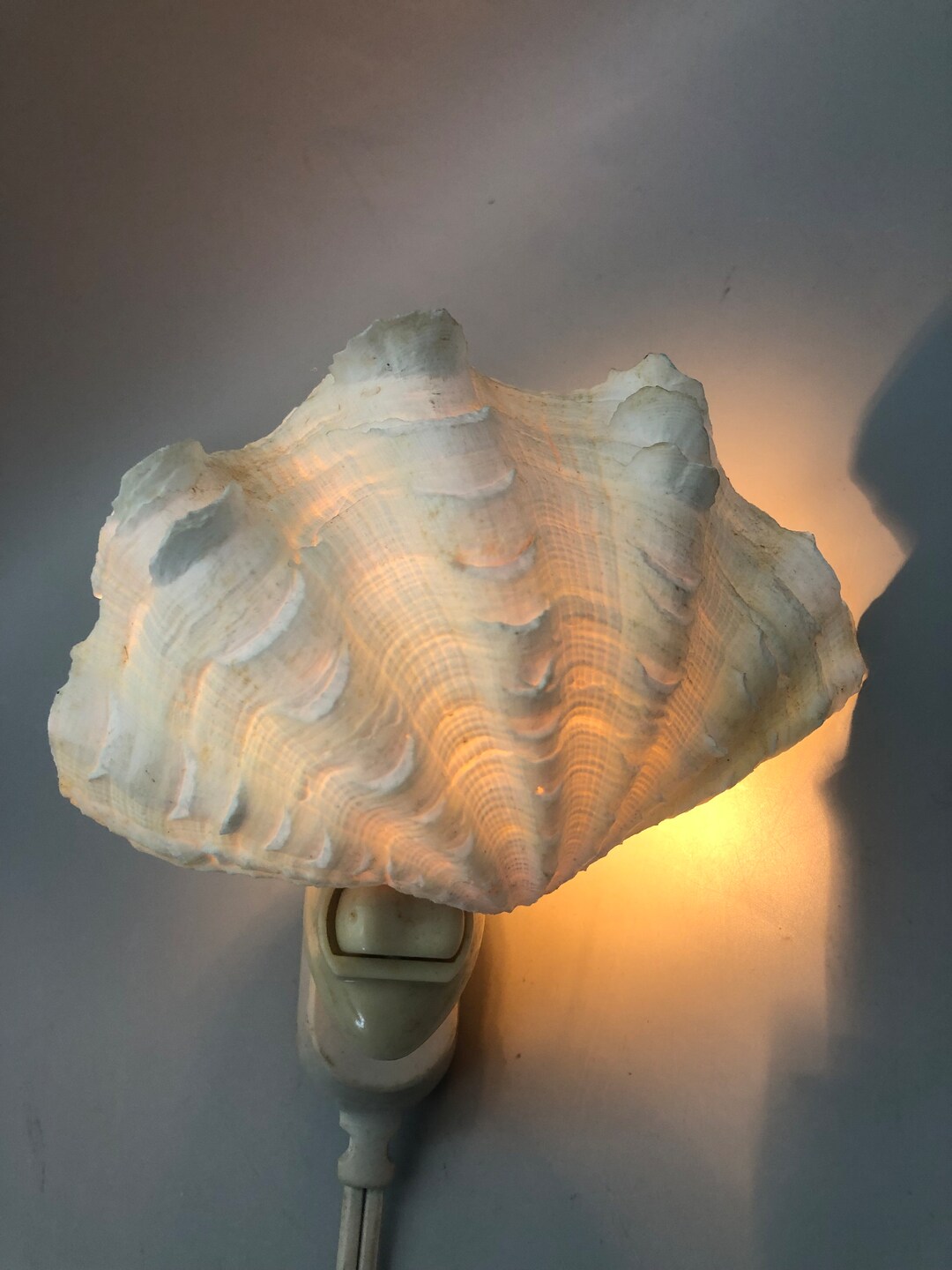 Vintage Shell Night Light. - Etsy