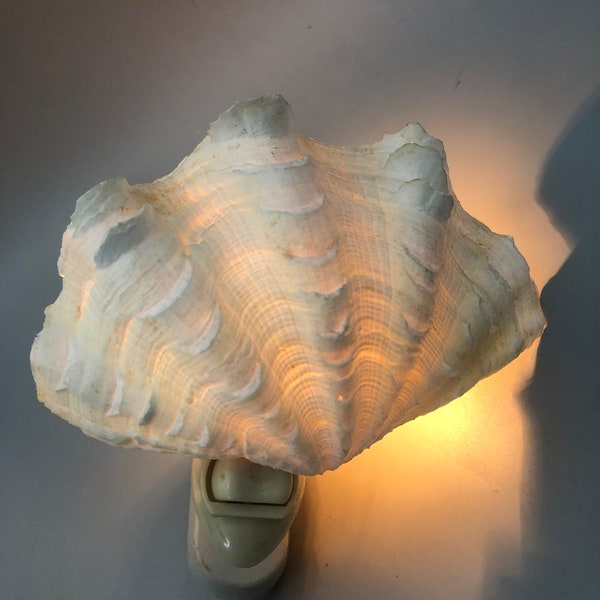 Seashell Night Light - Etsy