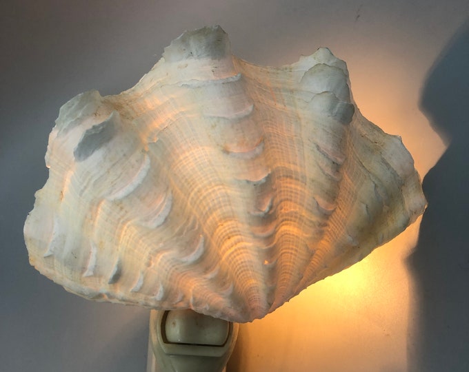 Vintage Shell Night Light. - Etsy