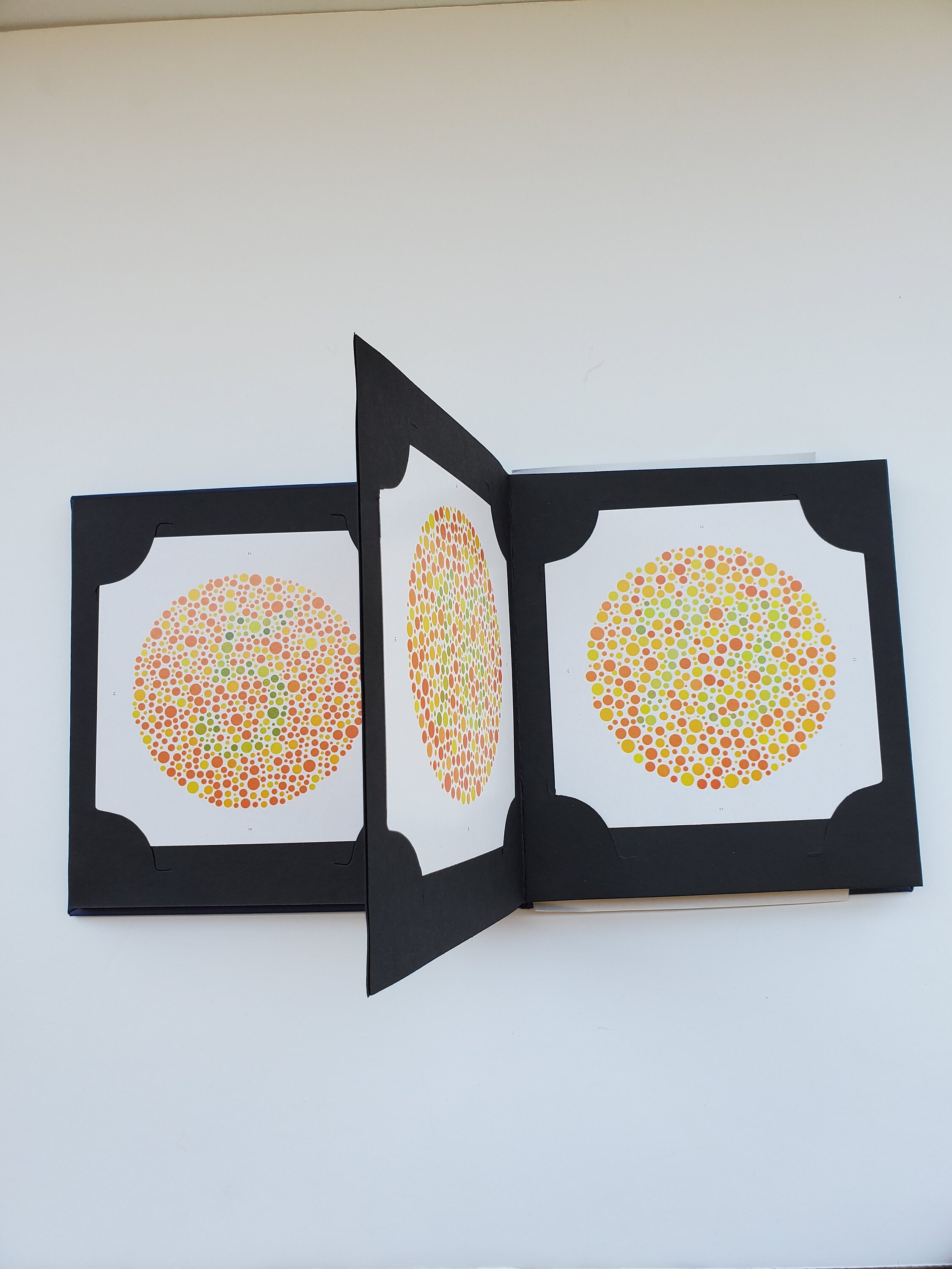 Ishihara Test Chart Books for Color Deficiency 38 Plates Latest Edition ...