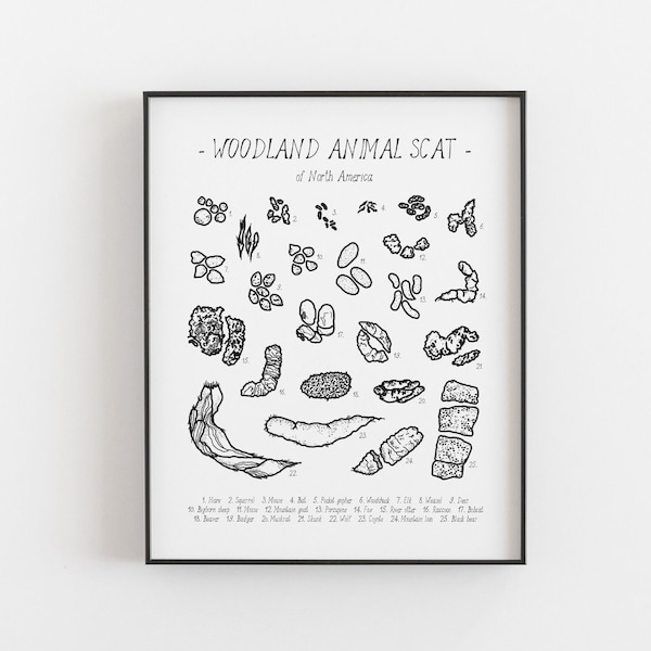 Animal Scat Poster - Etsy