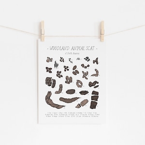 Animal Scat Print - Woodland Animal Droppings Poster, Wilderness Poop ...