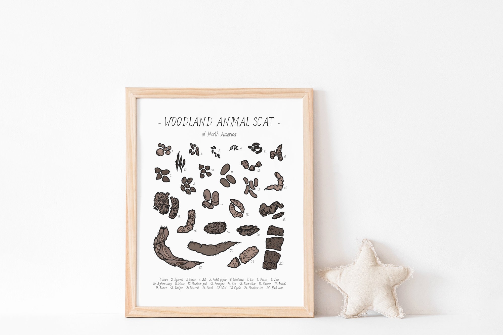 Animal Scat Print - Woodland Animal Droppings Poster, Wilderness Poop ...