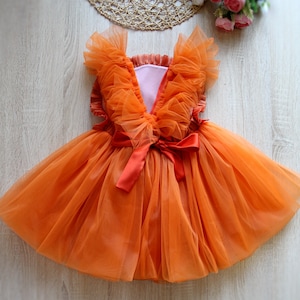 Emma Memma Inspired Girl Orange Tulle Dress With Butterfly, Kids Orange ...