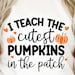 I Teach the Cutest Pumpkins in the Patch Svg, Fall Teacher Shirts ...