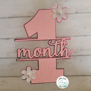 Baby Months Birthday Cake Topper, Baby Monthly Milestone, Baby Girl ...