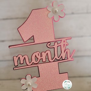 Baby Months Birthday Cake Topper, Baby Monthly Milestone, Baby Girl ...