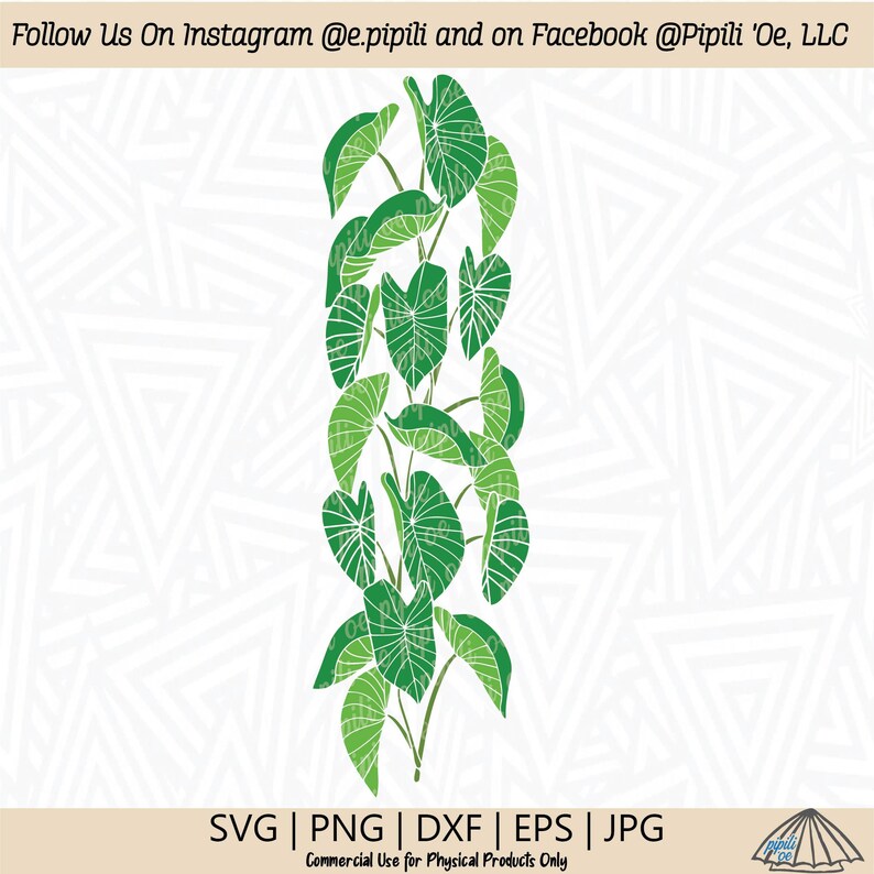 Kalo Plant Border Color SVG - Taro Plant SVG - Hawaii Plant SVG ...