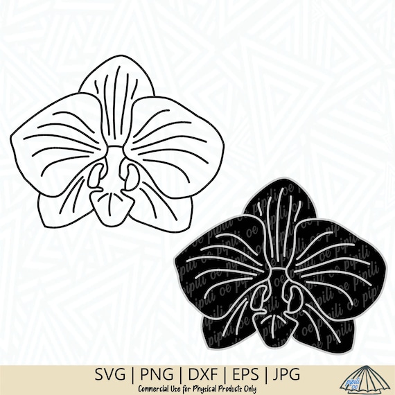 Orchid SVG Flower SVG Plant SVG Orchid Png Orchid Cut - Etsy