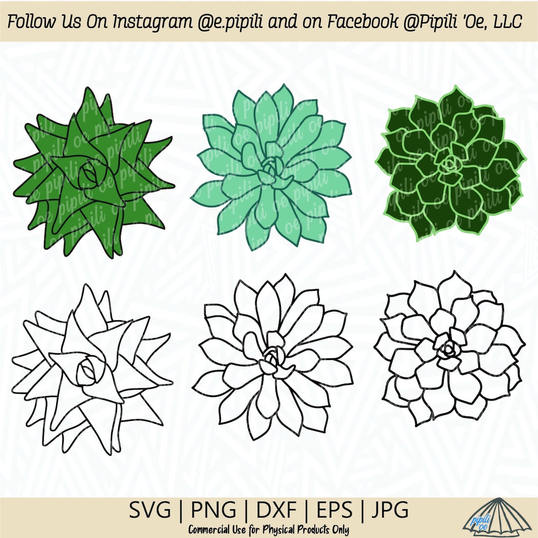 Succulent SVG - Succulent Clip Art - Succulent Png - Digital Download ...