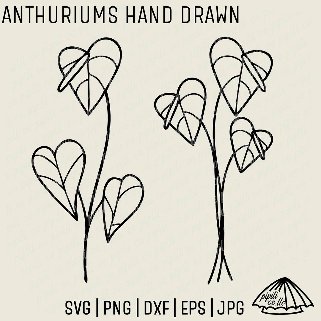 Anthuriums Hand Drawn SVG - Anthurium Line Art SVG - Botanical SVG ...