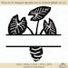 Taro Plant SVG Plant SVG Kalo SVG Kalo Plant (Instant Download) - Etsy