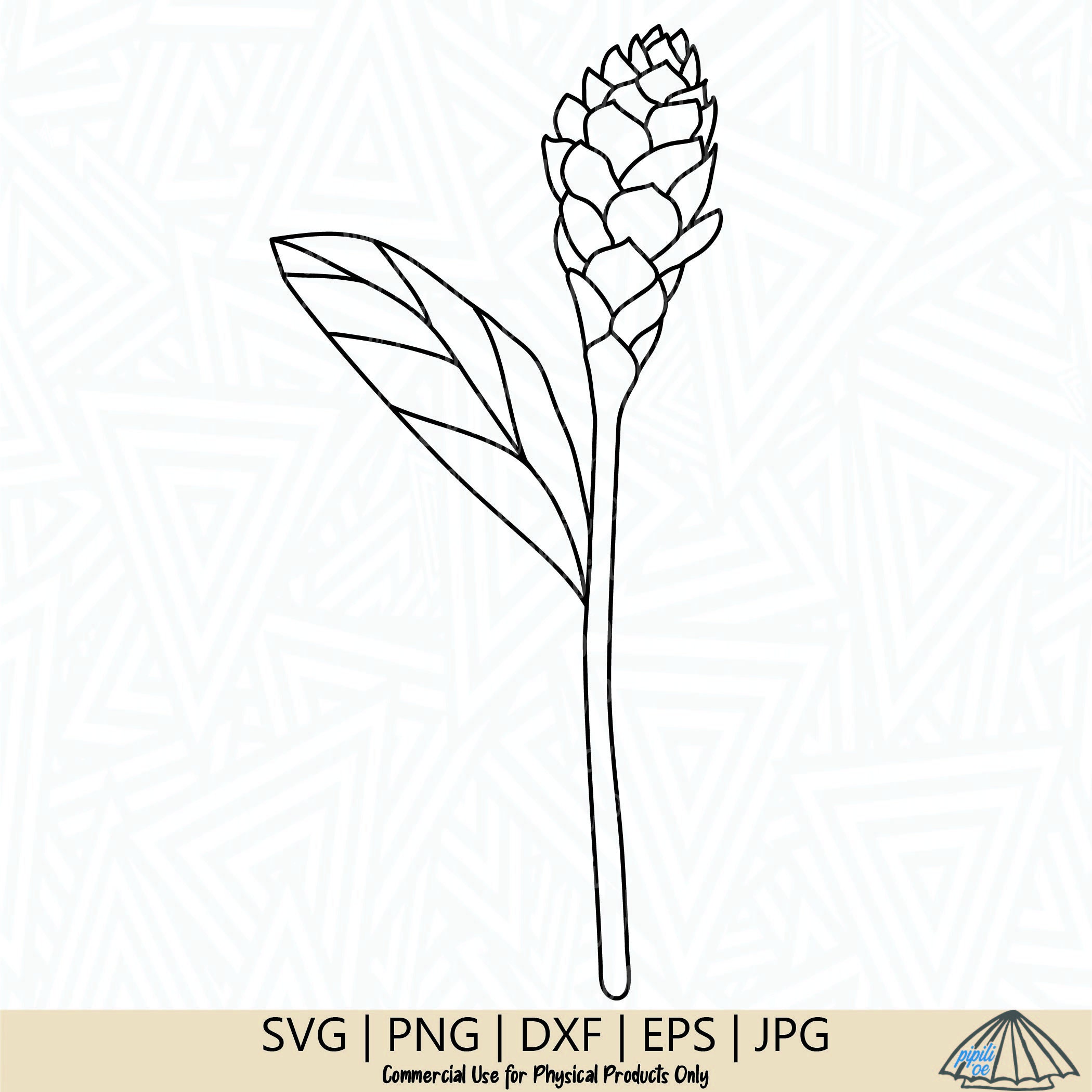 Ginger Flower SVG Flower SVG Plant SVG Ginger Flower - Etsy Canada