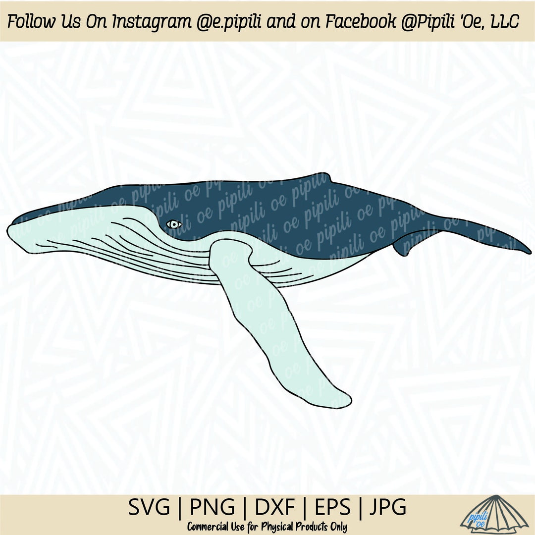 Humpback Whale SVG - Hawaii SVG - Humpback Whale Clip Art - Humpback ...