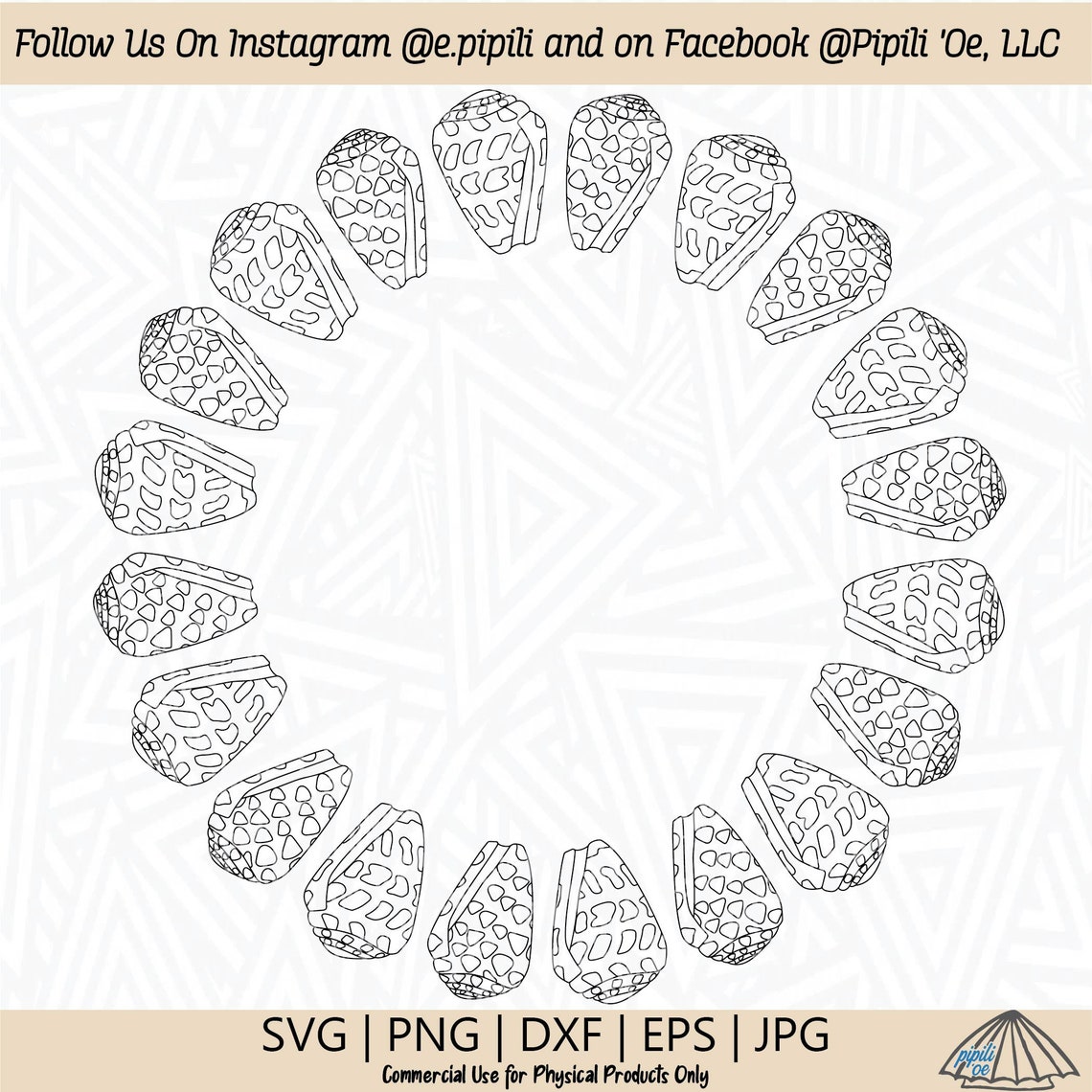 Hebrew Cone Shell Frame SVG - Beach Shell SVG - Shell SVG - Digital ...