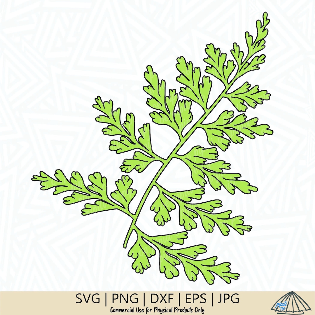 Palaa - Hawaiian Lace Fern SVG - Palaa SVG - Fern SVG - Plant Svg ...
