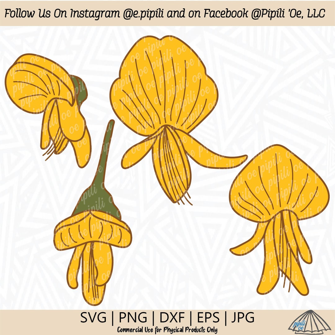 Mamane Flowers SVG - Mamane Flower Clip Art - Hawaiian Flower PNG ...