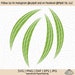 Koa Leaves SVG - Koa Leaf Clip Art - Digital Download - Acacia Leaf SVG ...
