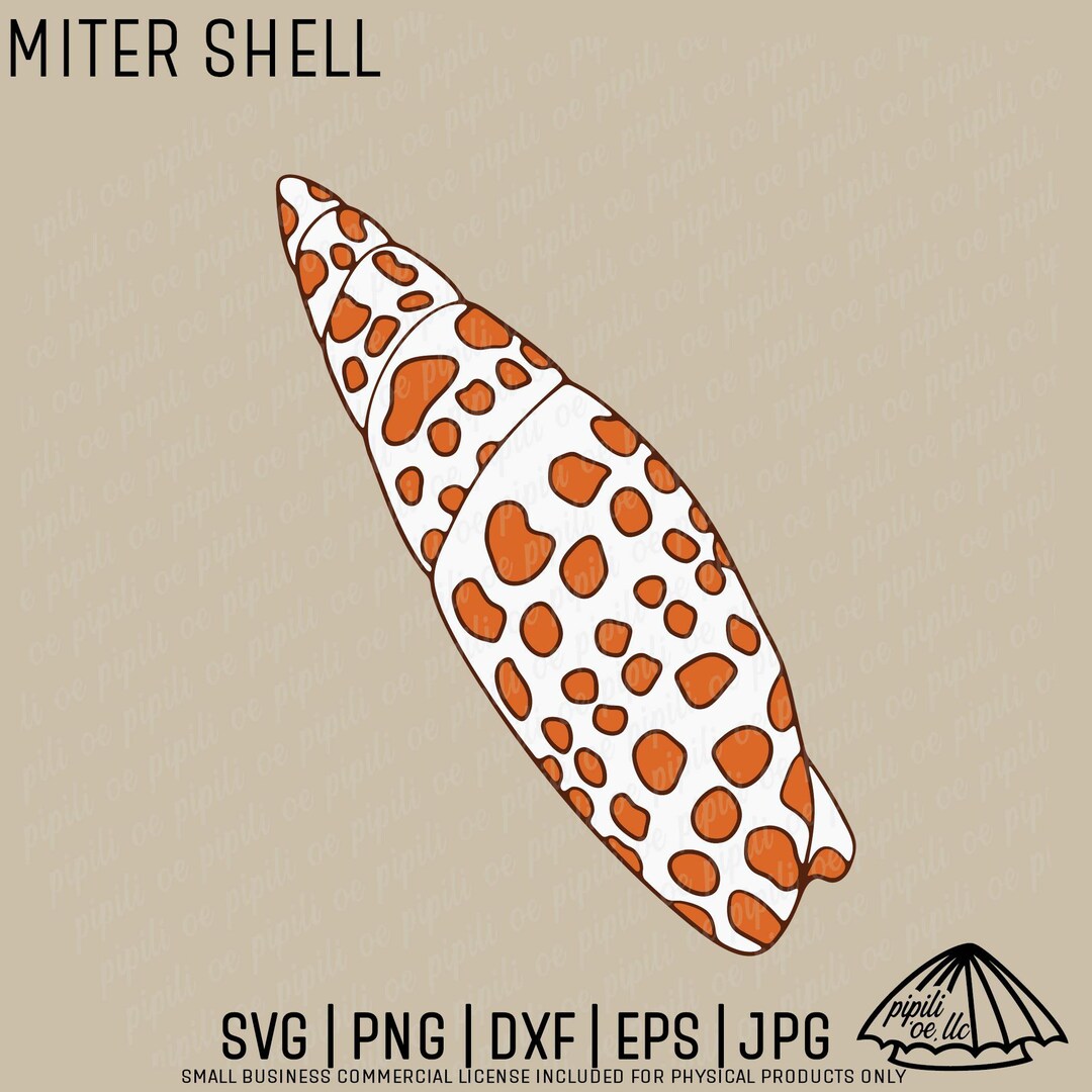 Miter Shell SVG - Episcopal Miter Shell Clip Art - Hawaii Shell SVG ...