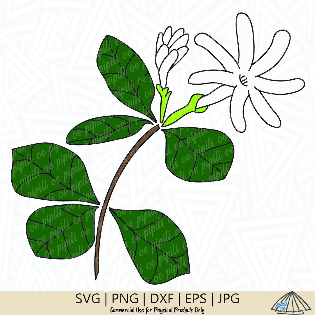 Tiare Gardenia Branch SVG - Tiare Gardenia SVG - Flower SVG - Plant Svg ...