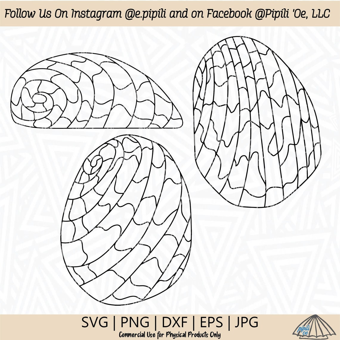 Kupe'e Shells SVG Kupe'e Shell Clip Art Shell SVG - Etsy