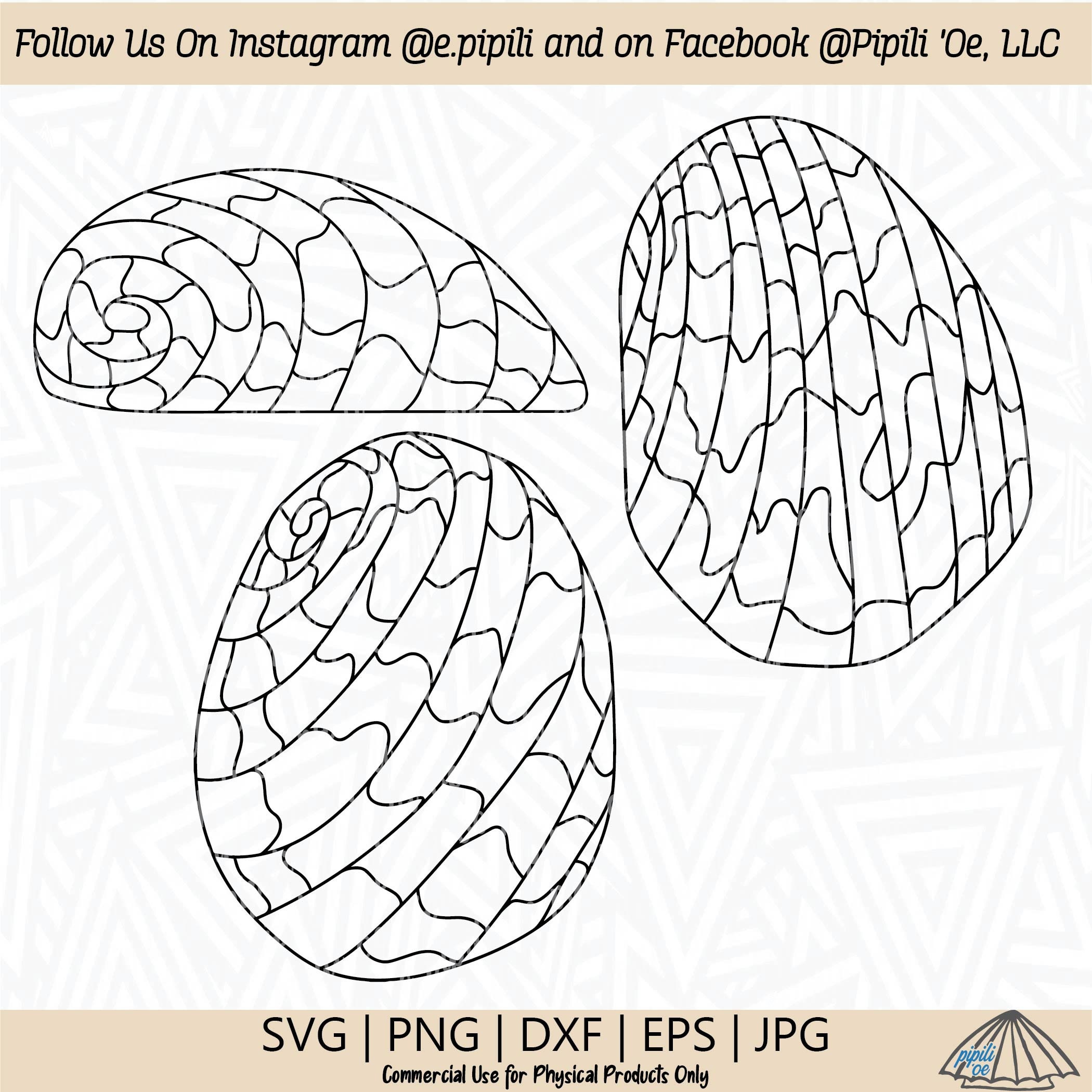 Kupe'e Shells SVG Kupe'e Shell Clip Art Shell SVG - Etsy