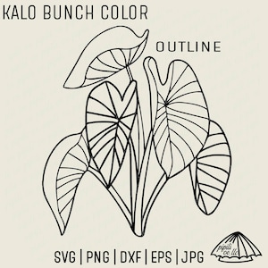 Kalo Bunch SVG - Taro Plant SVG - Hawaii Plant SVG - Digital Download ...