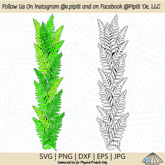Palapalai Lei Section Svg Lace Fern SVG Plant SVG Fern - Etsy Finland