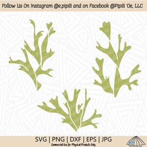 Limu - Seaweed SVG - Seaweed SVG - Limu Clip Art - Digital Download ...