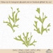 Limu - Seaweed SVG - Seaweed SVG - Limu Clip Art - Digital Download ...