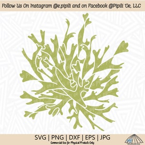Limu - Seaweed SVG - Seaweed SVG - Limu Clip Art - Digital Download ...
