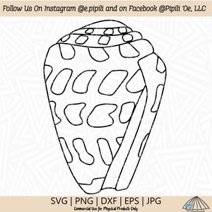 Hebrew Cone Shell SVG - Beach Shell SVG - Shell SVG - Digital Download ...