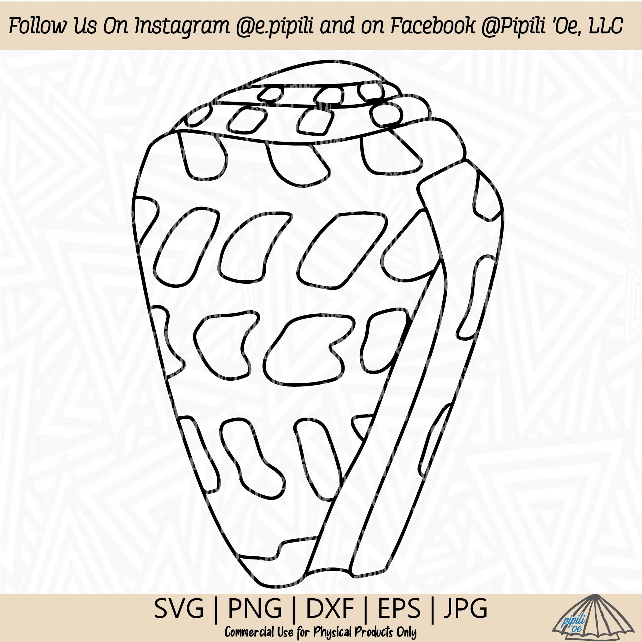 Hebrew Cone Shell SVG Beach Shell SVG Shell SVG Digital - Etsy Australia