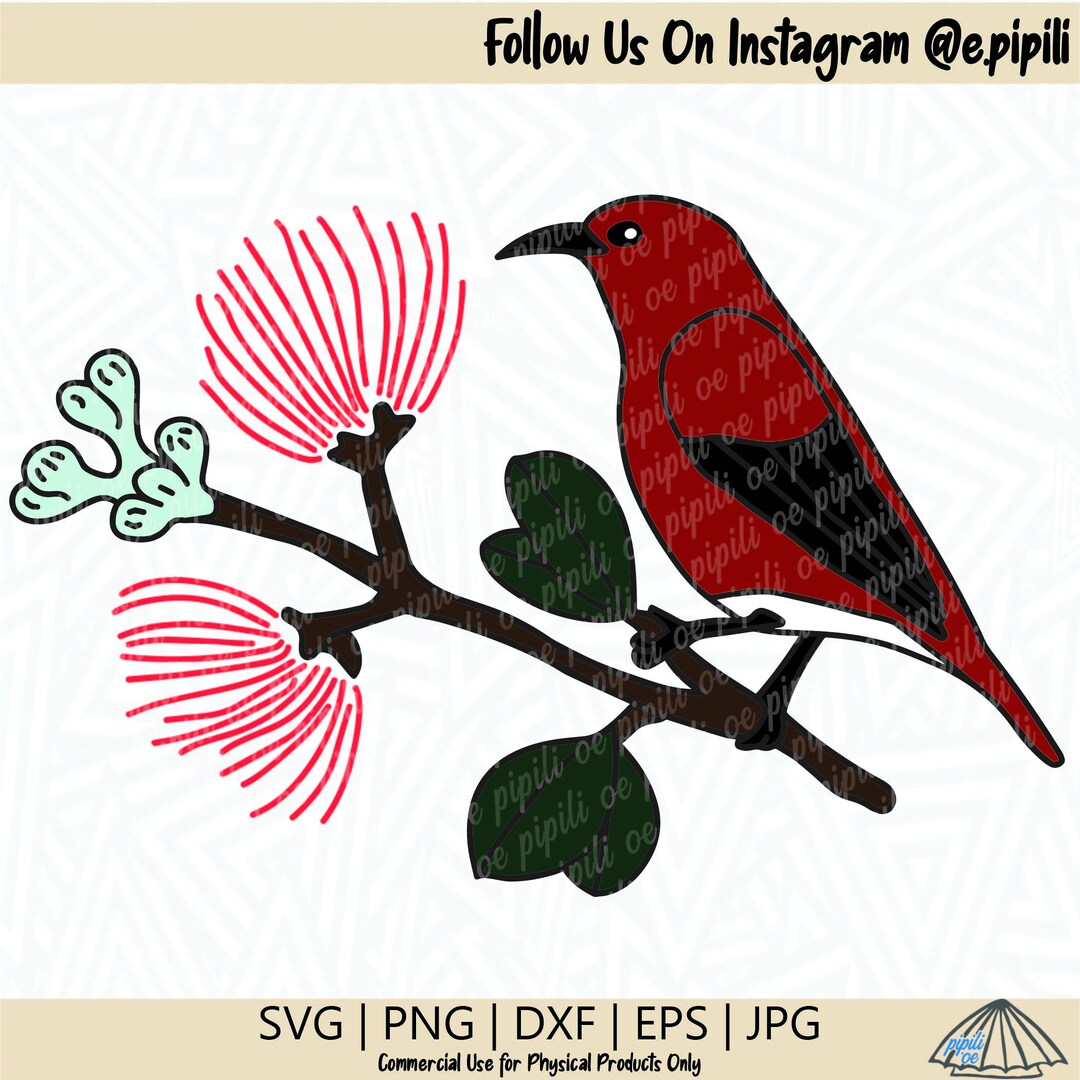 Apapane and Ohia SVG - Bird SVG - Ohia Lehua SVG - Flower Svg - Apapane ...