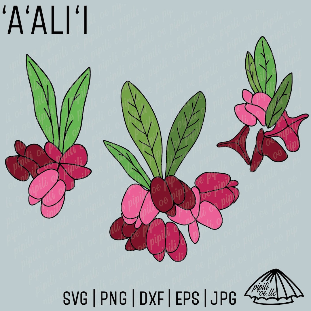 Aalii Plant SVG - Hawaiian Plant SVG - Hawaii SVG Designs - Laser ...