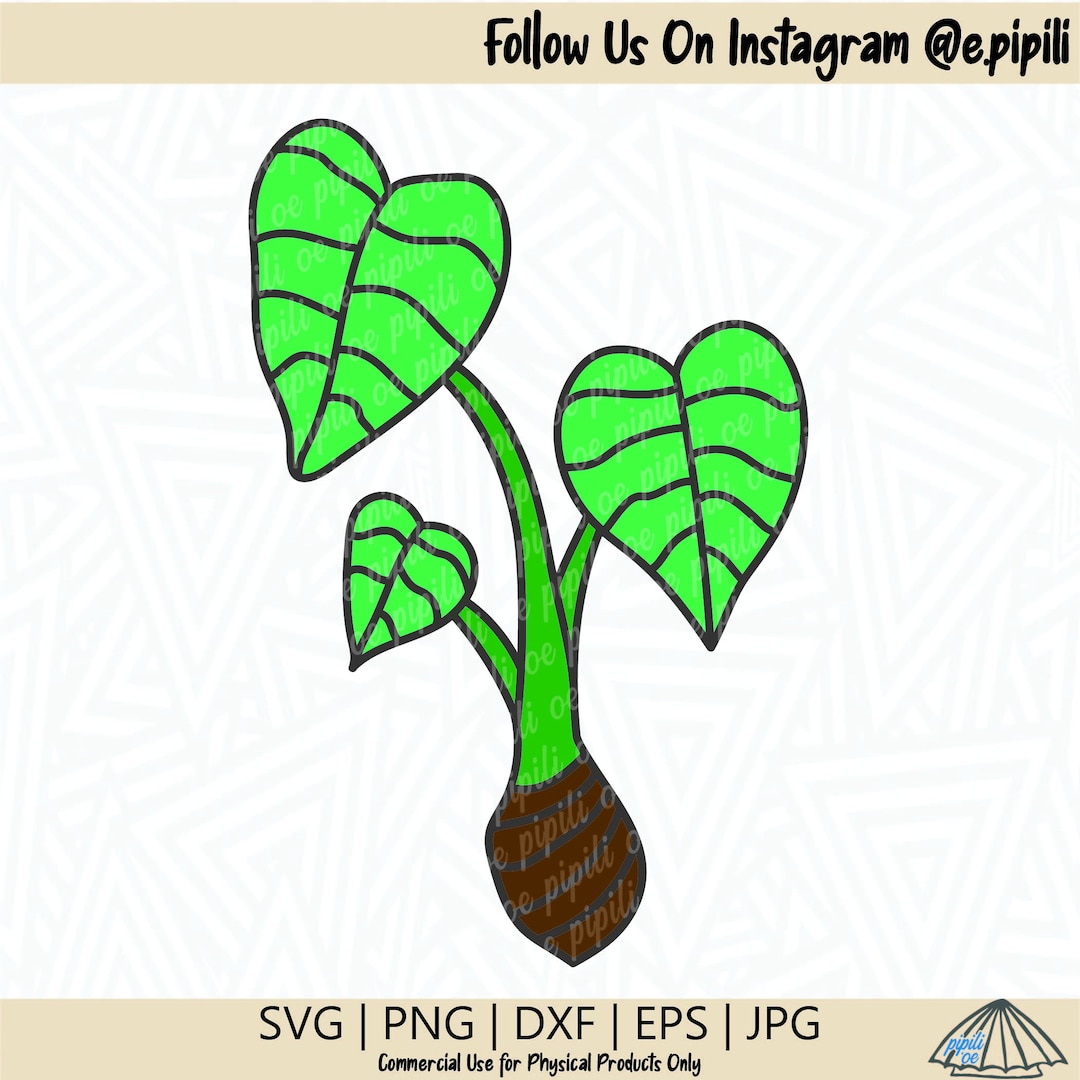 Full Kalo Plant SVG - Taro Plant SVG - Kalo SVG - Taro Svg - Kalo Png ...
